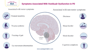 Vestibular Disorders: Causes, Symptoms, and Treatment Option